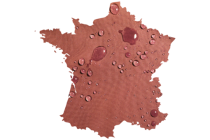 The Forever Pollution Project – Journalists tracking PFAS across Europe